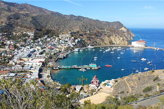 10 Reasons You'll Fall in Love With Catalina Island - FabFitFun